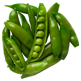 Shop Shakeology — The Nutrition Your Body Craves | Team Beachbody US