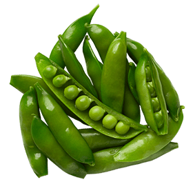 Shop Shakeology — The Nutrition Your Body Craves | Team BODi